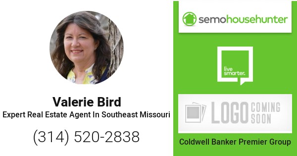 Valerie Bird Real Estate Agent Expert in